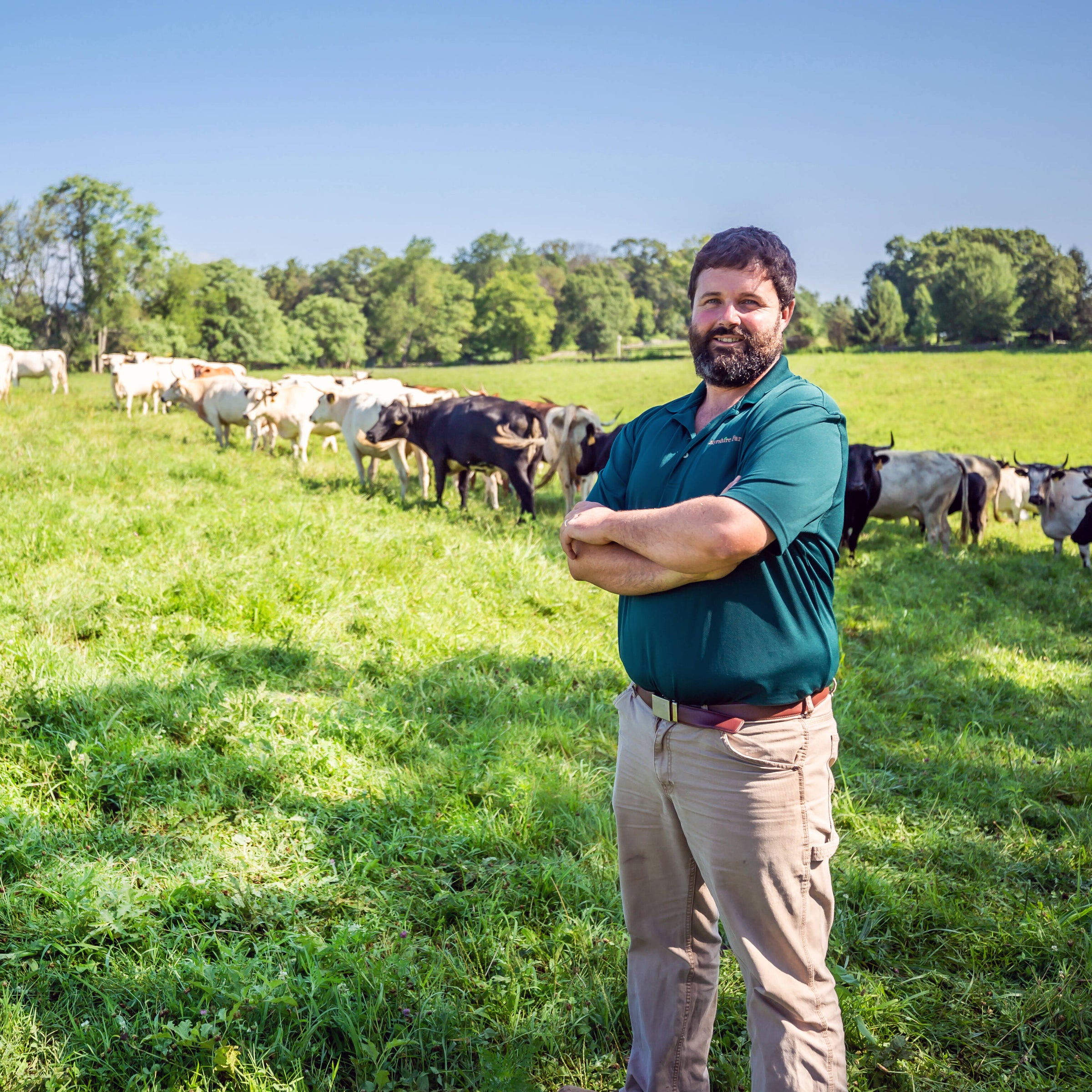 About | Ayrshire Farm